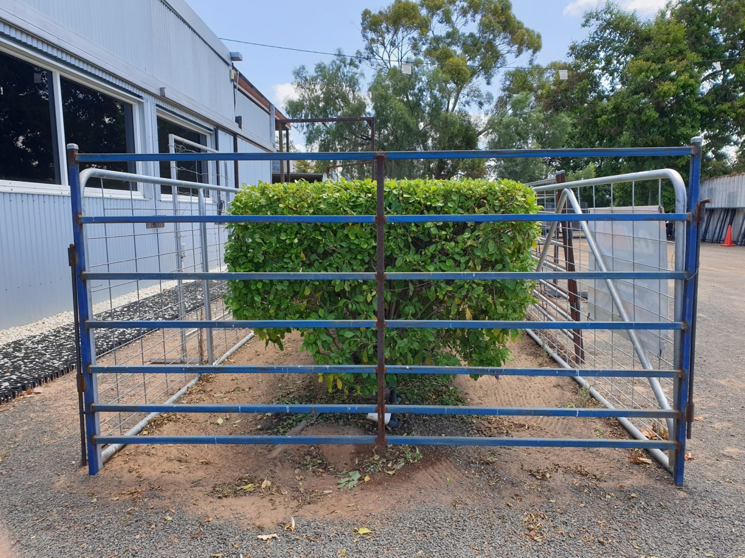 Goats - Bourke Steel & HIre